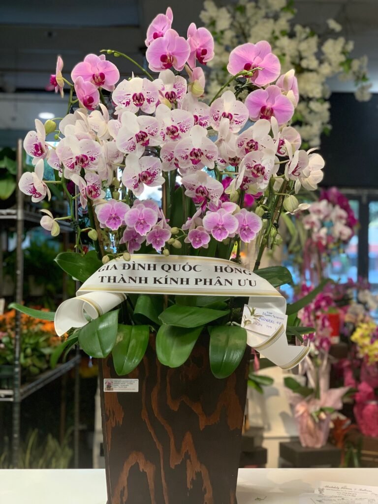 Funeral Orchid #02 – Kimanh Flowers